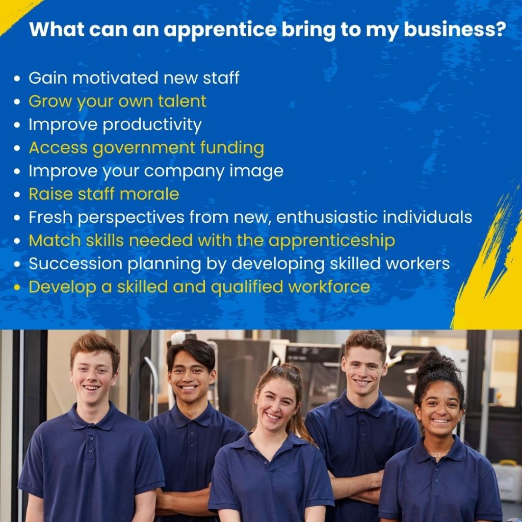 Thinking about hiring an apprentice in the New Year? - Apprenticeships ...